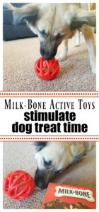 Milk-Bone Active Toys Stimulate Dog Treat Time - Outnumbered 3 to 1