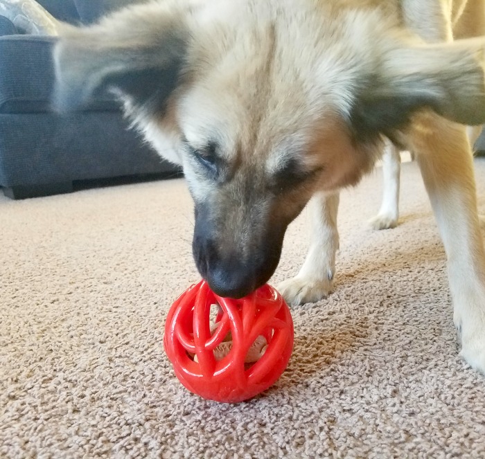 Milk-Bone Active Toys Stimulate Dog Treat Time - Outnumbered 3 to 1