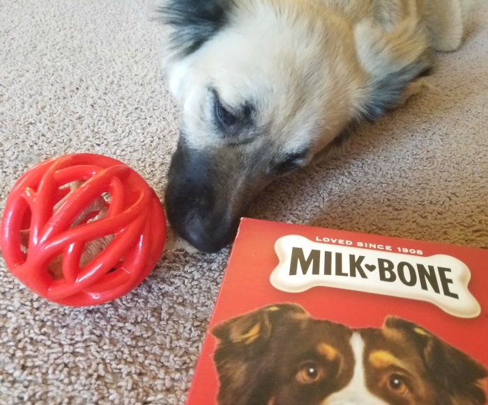 Milk-Bone Active Toys Stimulate Dog Treat Time - Outnumbered 3 to 1