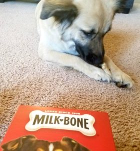 Milk-Bone Active Toys Stimulate Dog Treat Time - Outnumbered 3 to 1