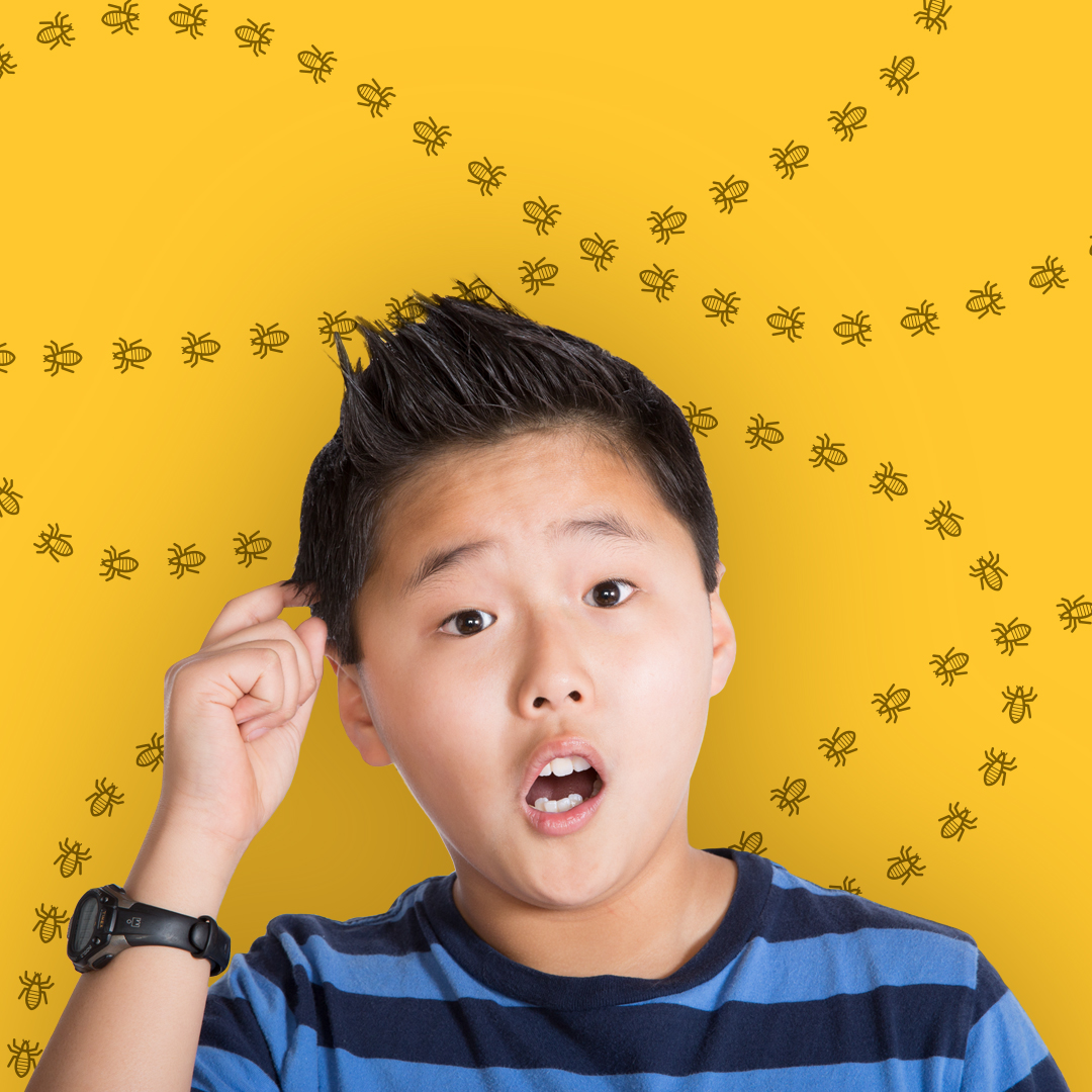 10 Interesting Facts About Lice - Outnumbered 3 to 1
